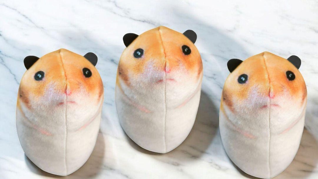 Hamster, Squishy Hamster Stress Relief Toy – Cute Kawaii Fidget Toy for ...