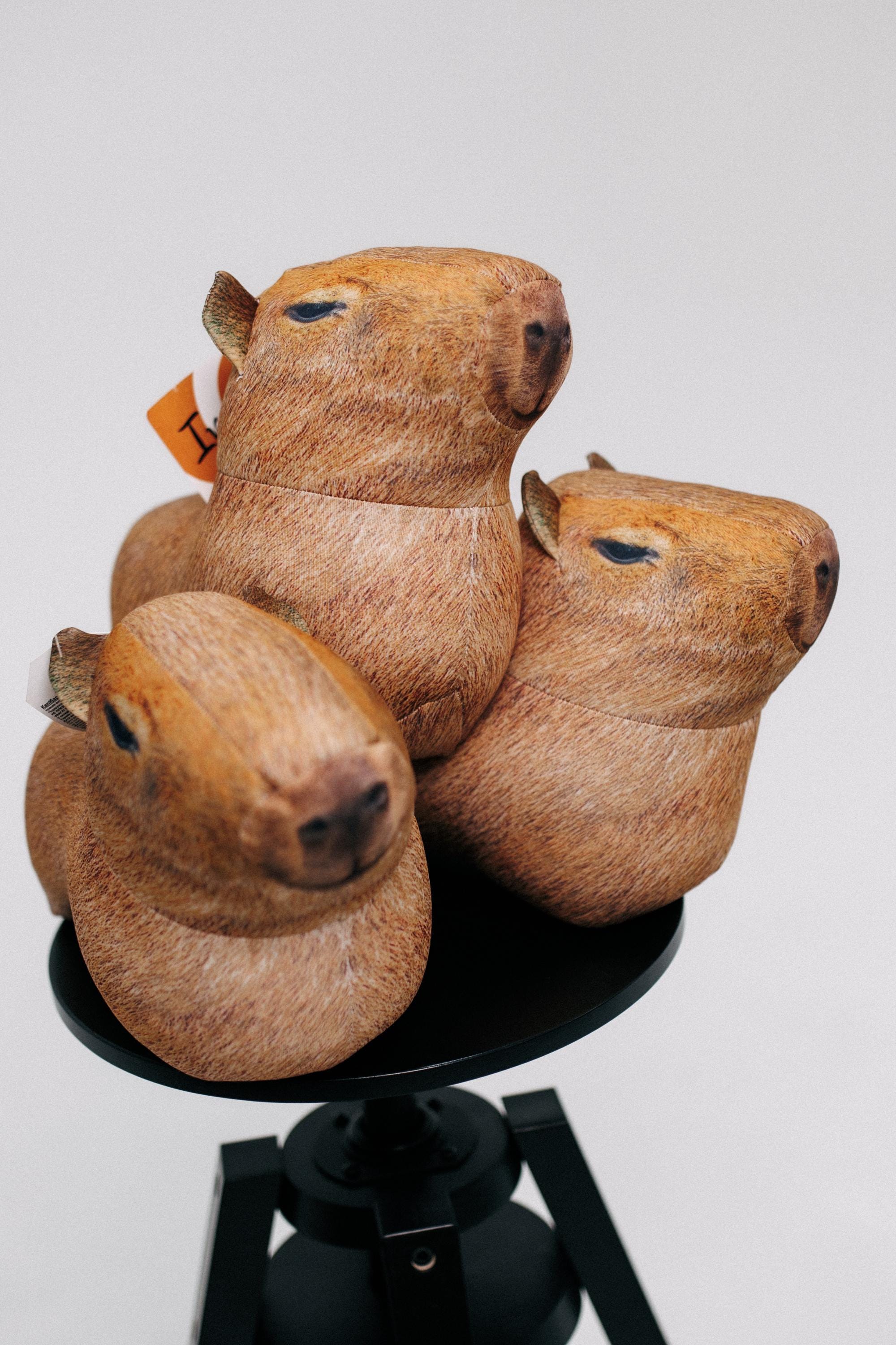 Fidget Toy Capybara, Capybara Soft Calming Toy, Sensory Comfort Toy ...