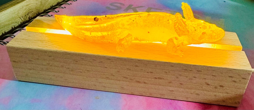 Golden Axolotl With Glow in the Dark Iridiophores. - Etsy
