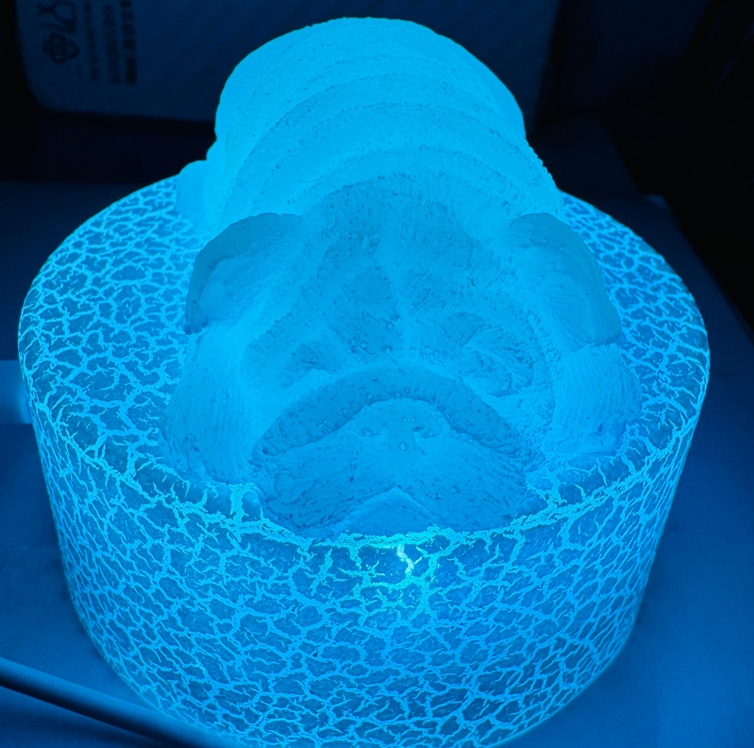 English Bulldog Color Changing Night Light. - Etsy