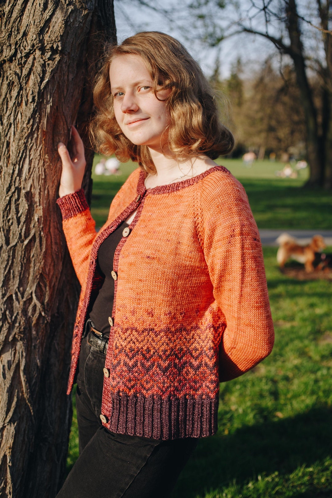 Colorwork Yoke Cardigan Knitting Pattern: Raglan Sweater (PDF Download ...