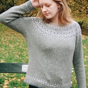Colorwork Sweater Knitting Pattern: Top-down Seamless Knit, Stranded ...
