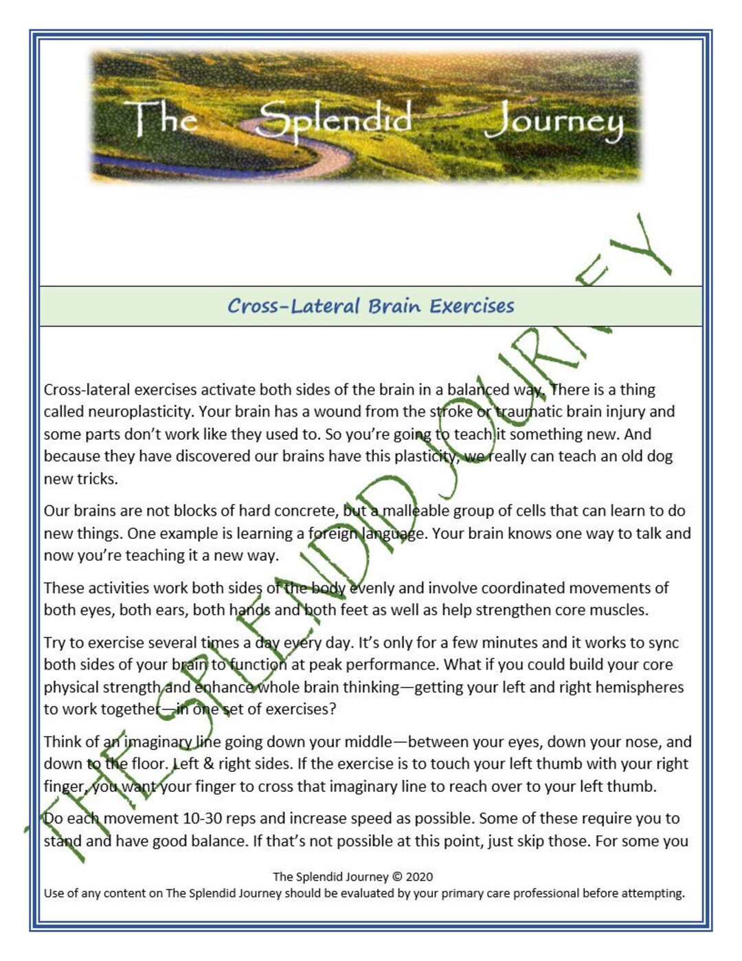 Cross-lateral Exercises for Stroke/tbi Survivors, Sitting or Standing ...