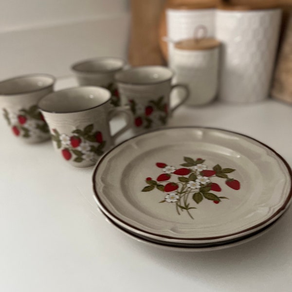 Appetizer Cups - Etsy