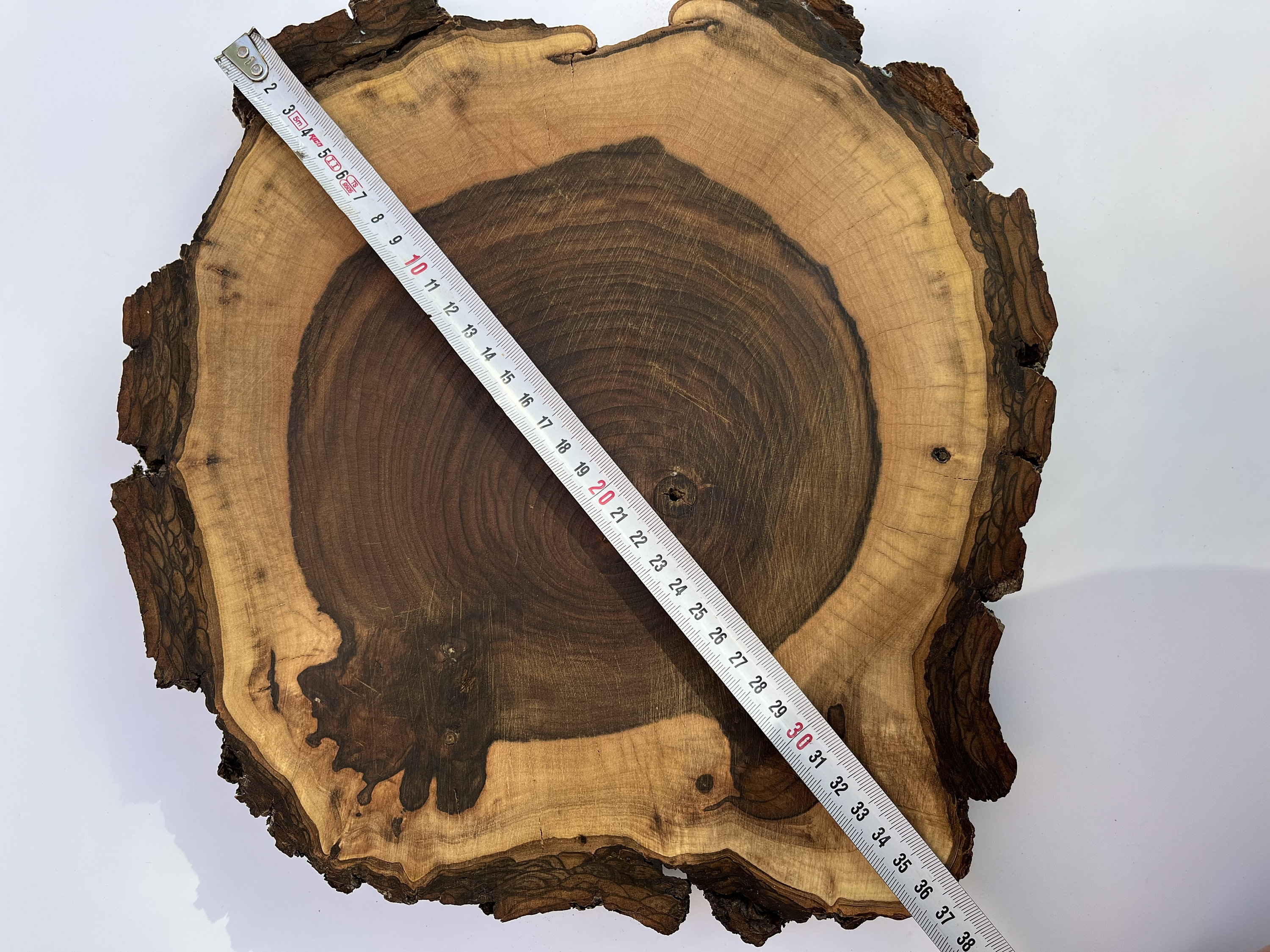 Walnut Wood Slice With Bark, Live Edge Rounds, Live Edge, Walnut Slab ...