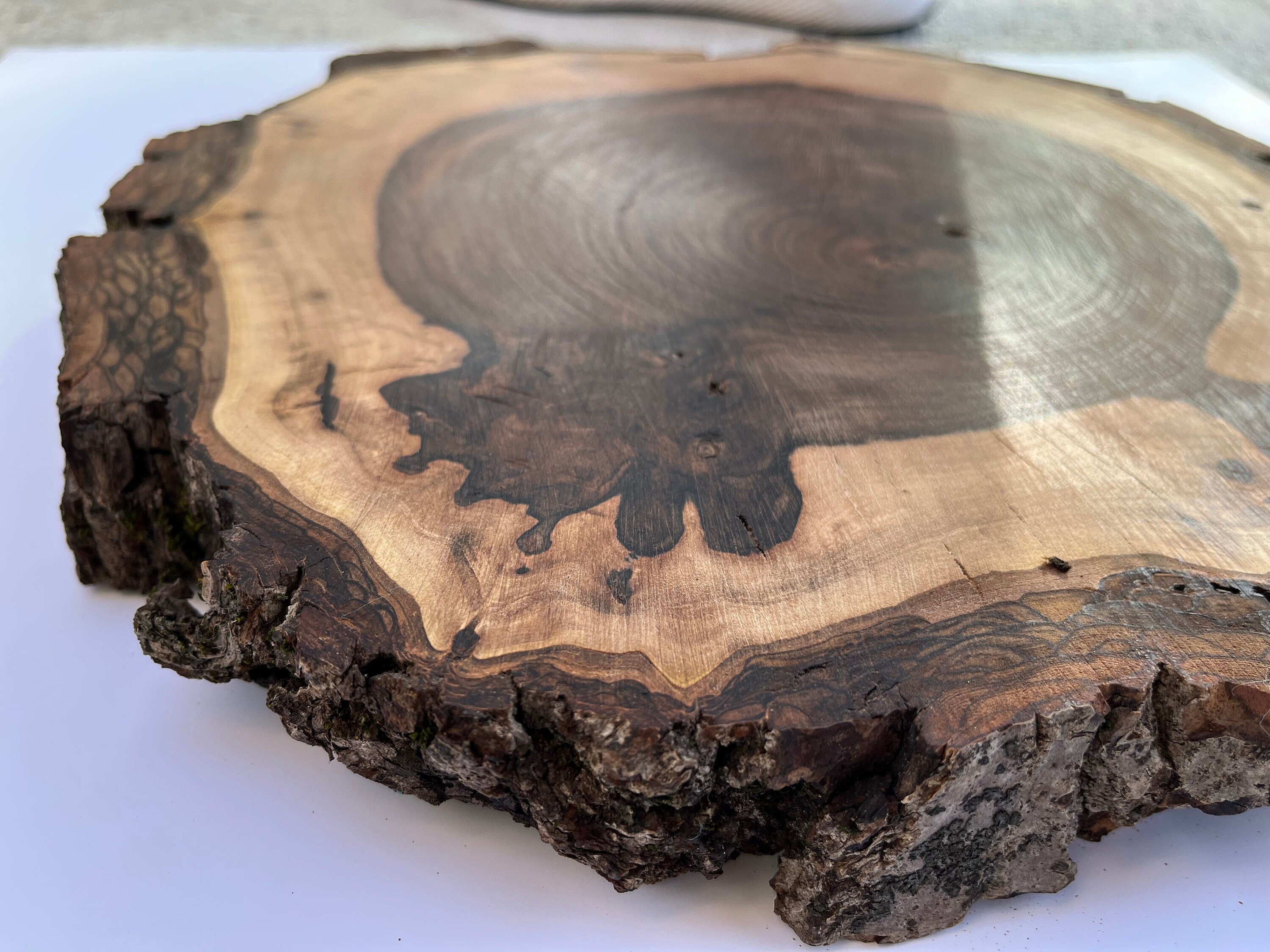 Walnut Wood Slice With Bark, Live Edge Rounds, Live Edge, Walnut Slab ...