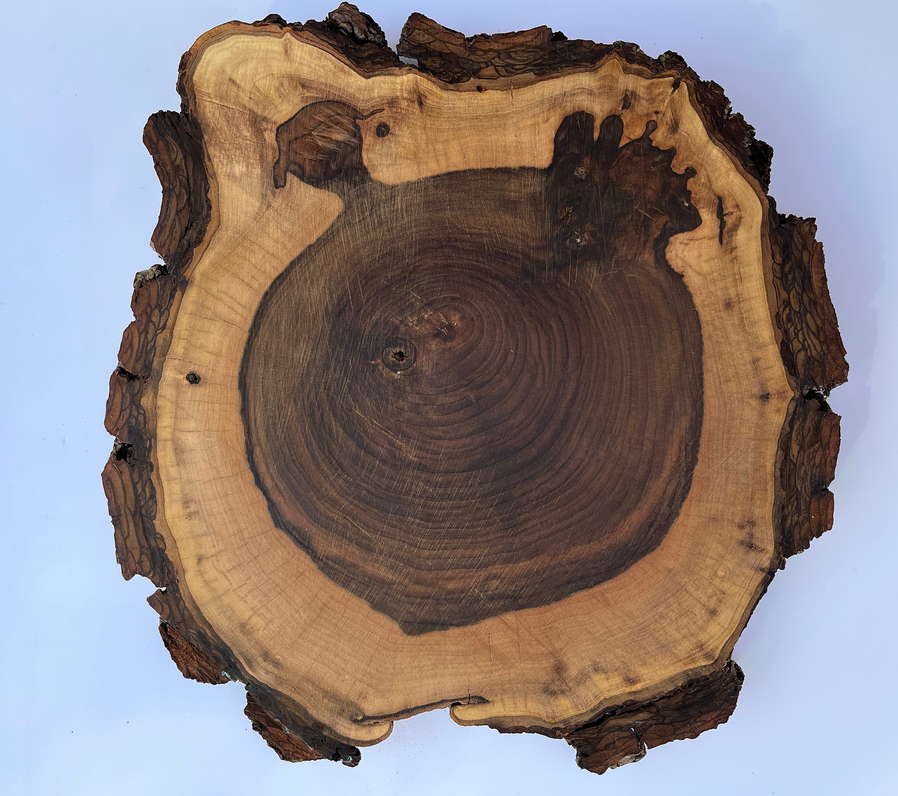 Walnut Wood Slice With Bark, Live Edge Rounds, Live Edge, Walnut Slab ...