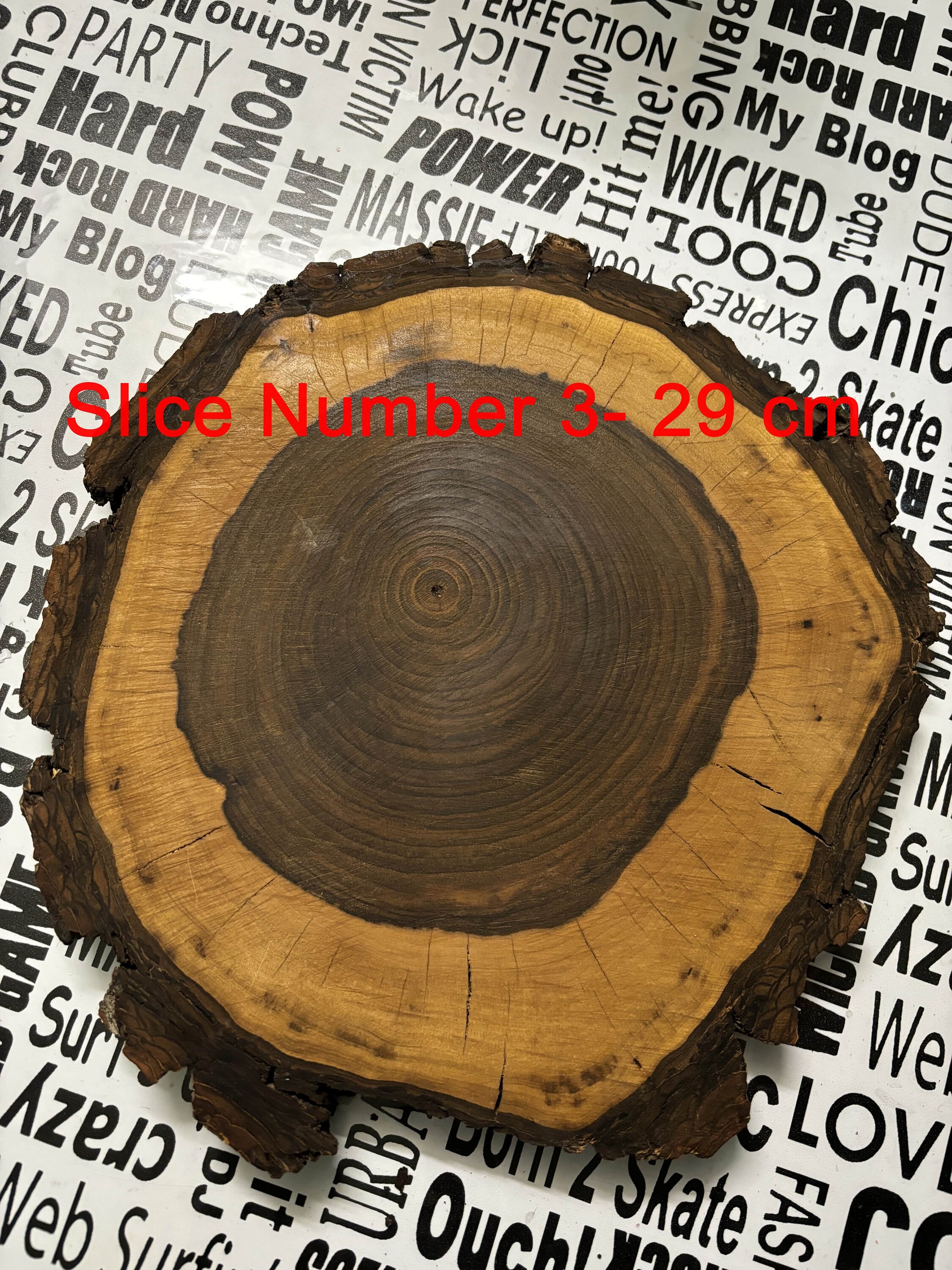 Live Edge Walnut Wood Slice: Dried Slab for Woodworking - Etsy