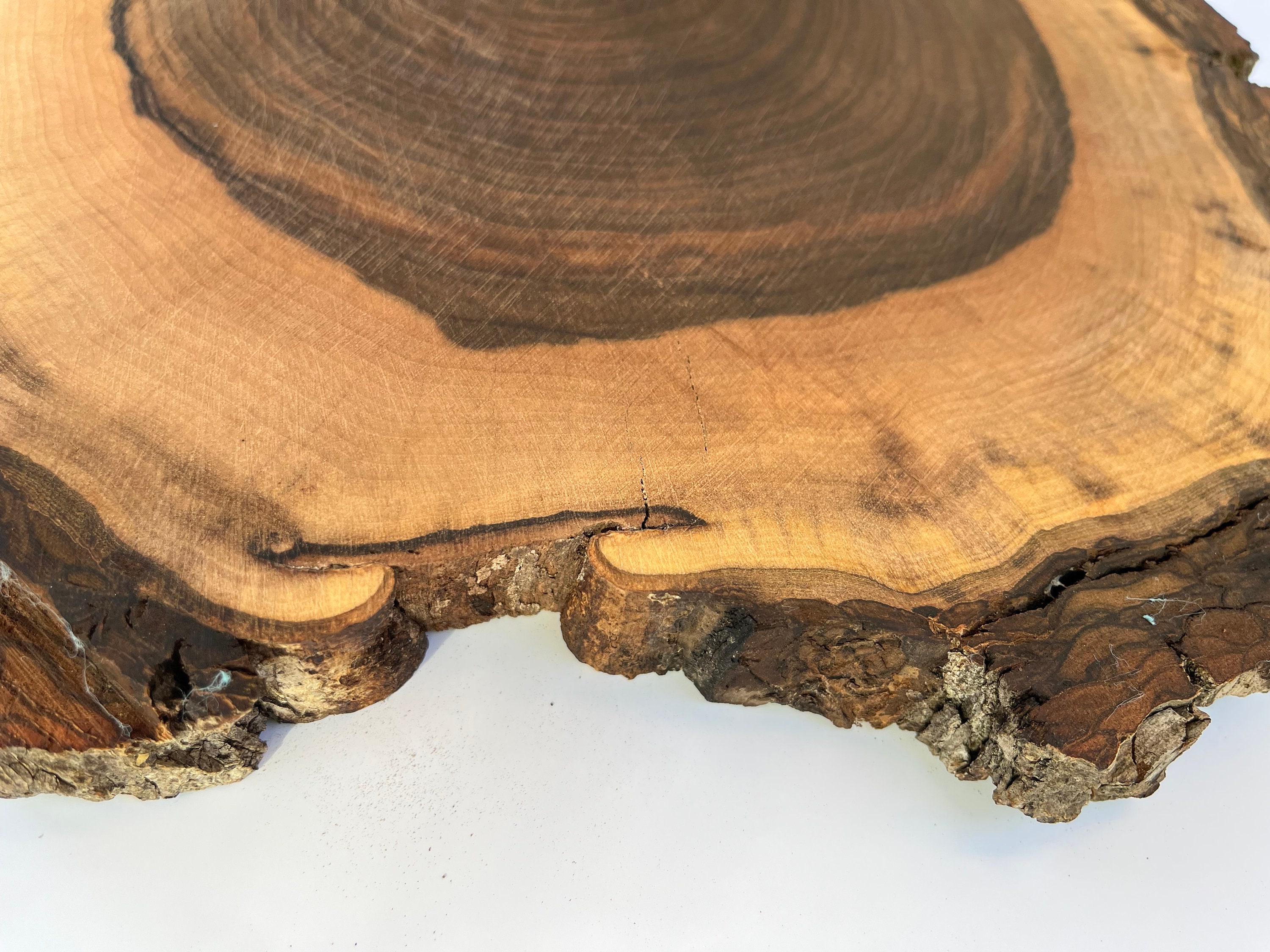 Walnut Wood Slice With Bark, Live Edge Rounds, Live Edge, Walnut Slab ...