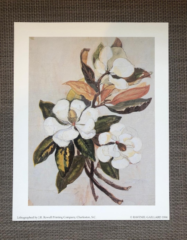 Three Magnolias Print by Ravenel Gaillard - Etsy