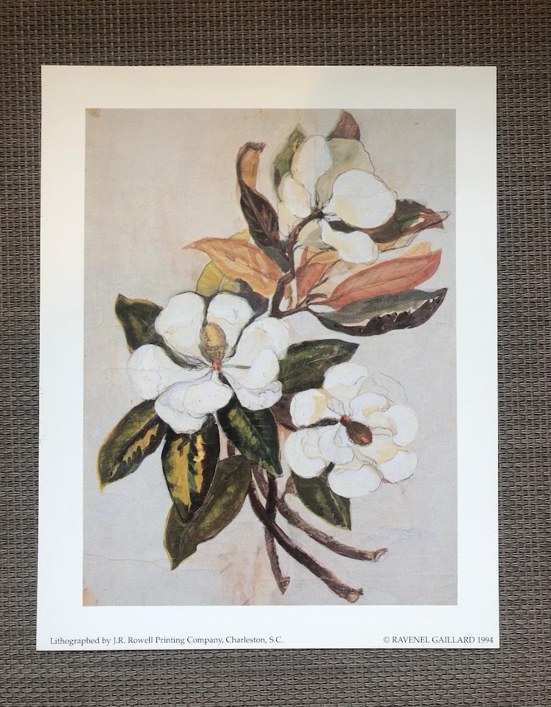 Three Magnolias Large Lithograph by Ravenel Gaillard - Etsy