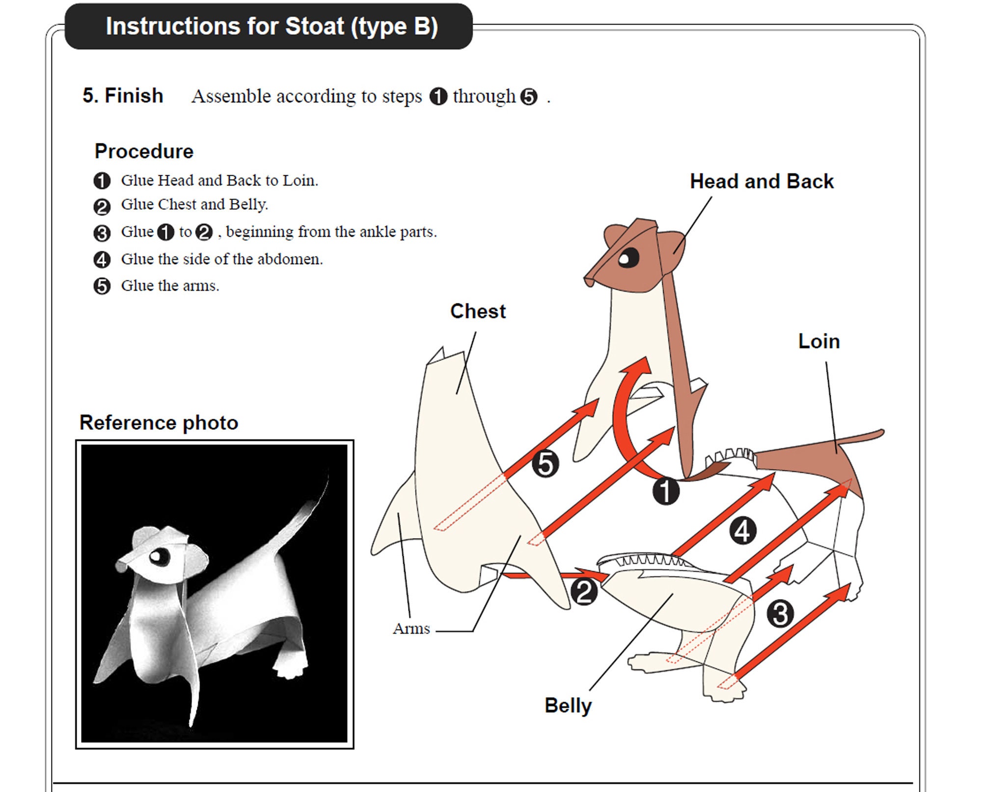 Hondo Stoat, Papercraft, 3D Paper Model, Animal, Zoo, Paper Craft ...