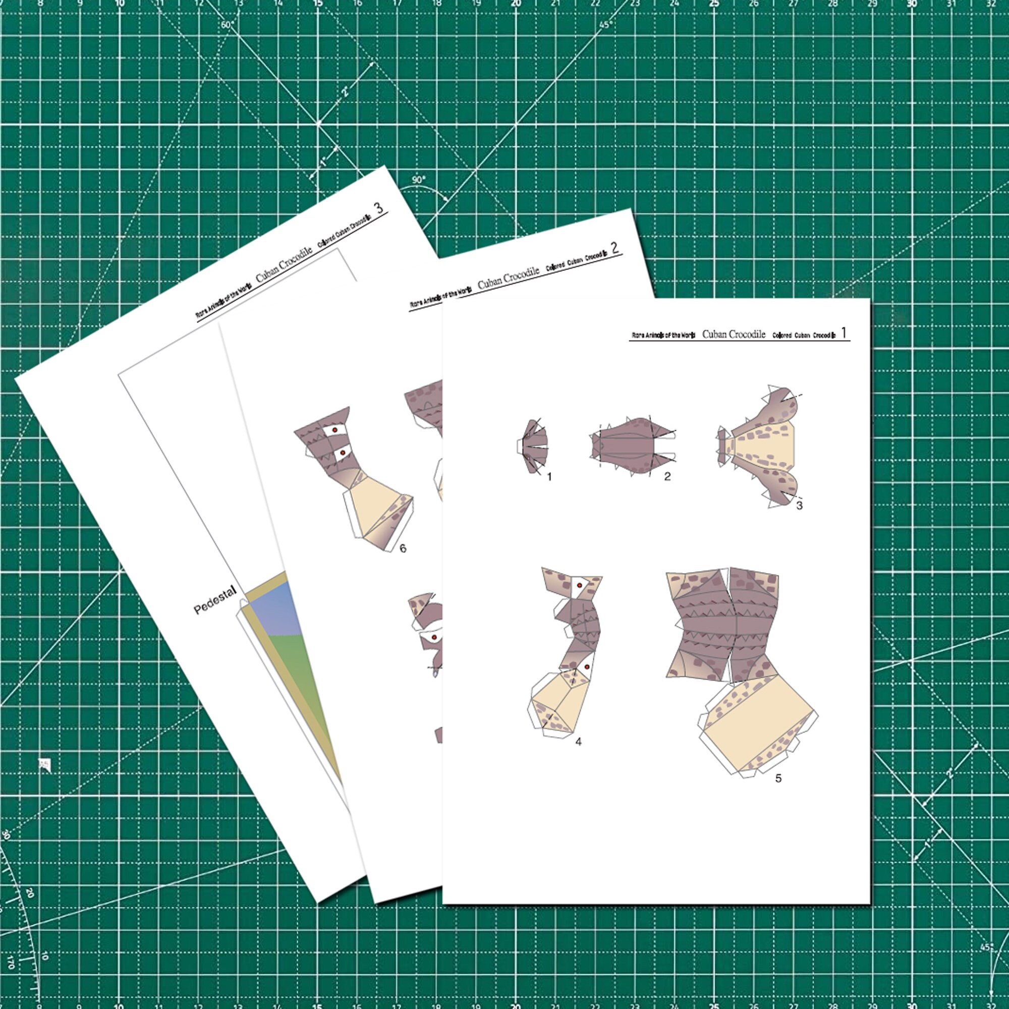Cuban Crocodile, Papercraft, 3D Paper Model, Animal, Zoo, Paper Craft ...