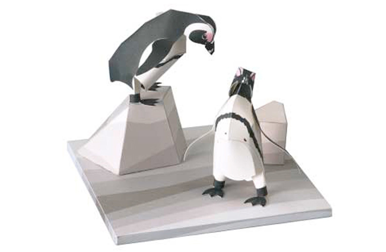 Cape Penguin Papercraft 3D Paper Model Animal Zoo Paper - Etsy