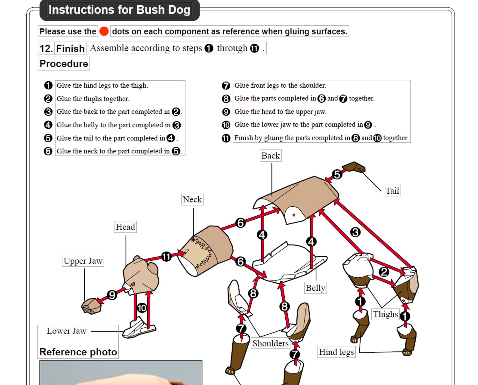 Bush Dog, Papercraft, 3D Paper Model, Animal, Zoo, Paper Craft ...
