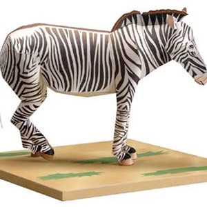Grevy's Zebra, Papercraft, 3D Paper Model, Animal, Zoo, Paper Craft ...