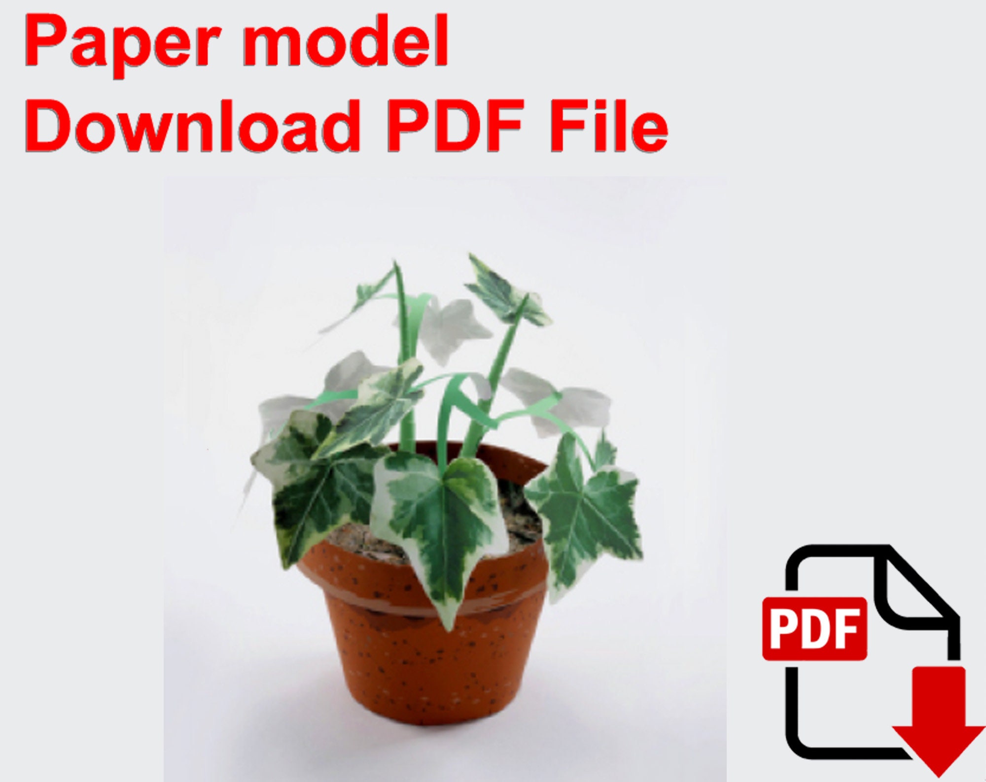 Ivy, Papercraft, 3D Paper Model, Animal, Zoo, Paper Craft, Template PDF ...