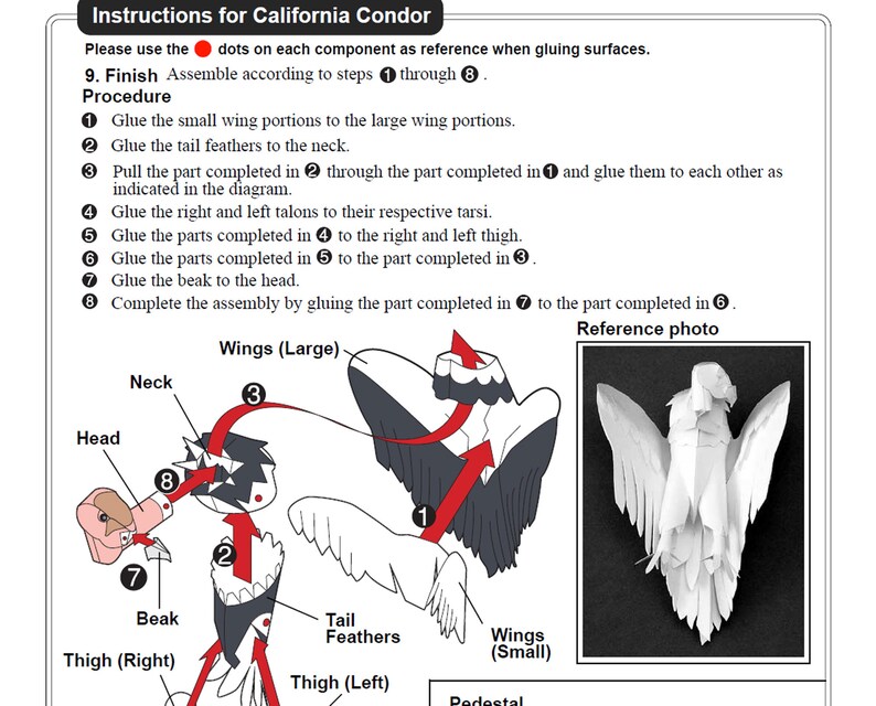 California Condor, Papercraft, 3D Paper Model, Animal, Zoo, Paper Craft ...