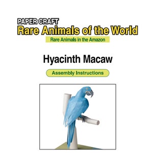 Hyacinth Macaw Paper Model, DIY 3D Papercraft (PDF Template) - Etsy