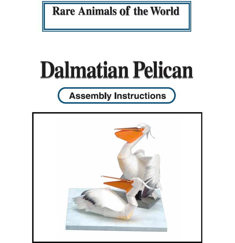 Dalmatian Pelican Papercraft 3D Paper Model Animal Zoo - Etsy