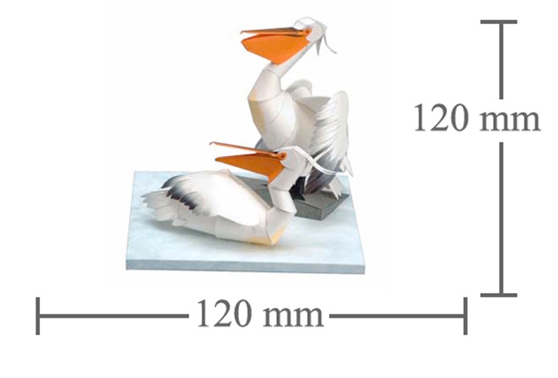 Dalmatian Pelican Papercraft 3D Paper Model Animal Zoo - Etsy