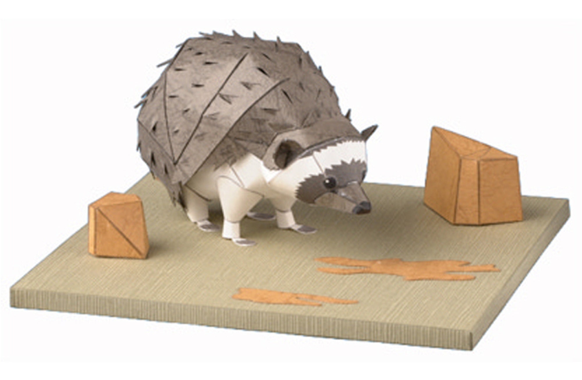 South African Hedgehog, Papercraft, 3D Paper Model, Animal, Zoo, Paper ...