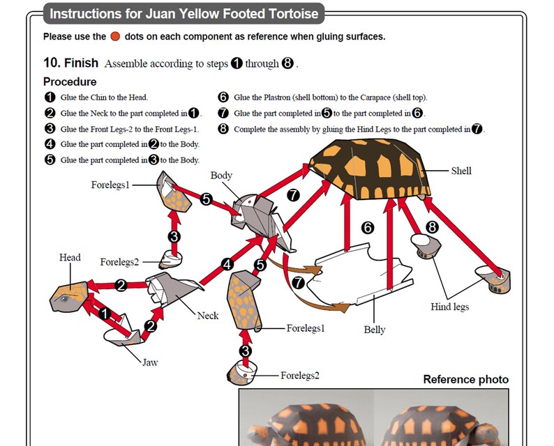 Yellow Footed Tortoise, Papercraft, 3D Paper Model, Animal, Zoo, Paper ...