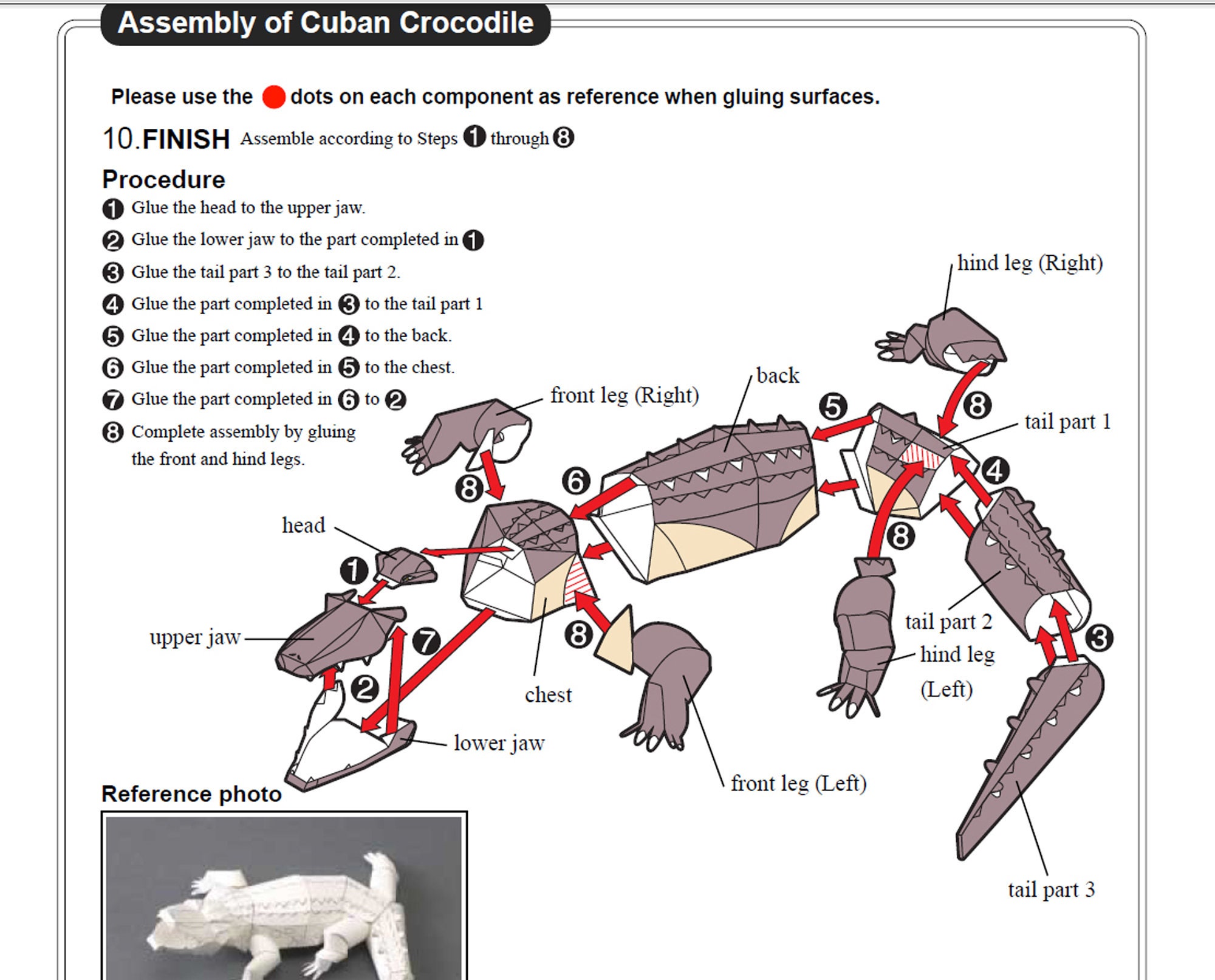 Cuban Crocodile, Papercraft, 3D Paper Model, Animal, Zoo, Paper Craft ...