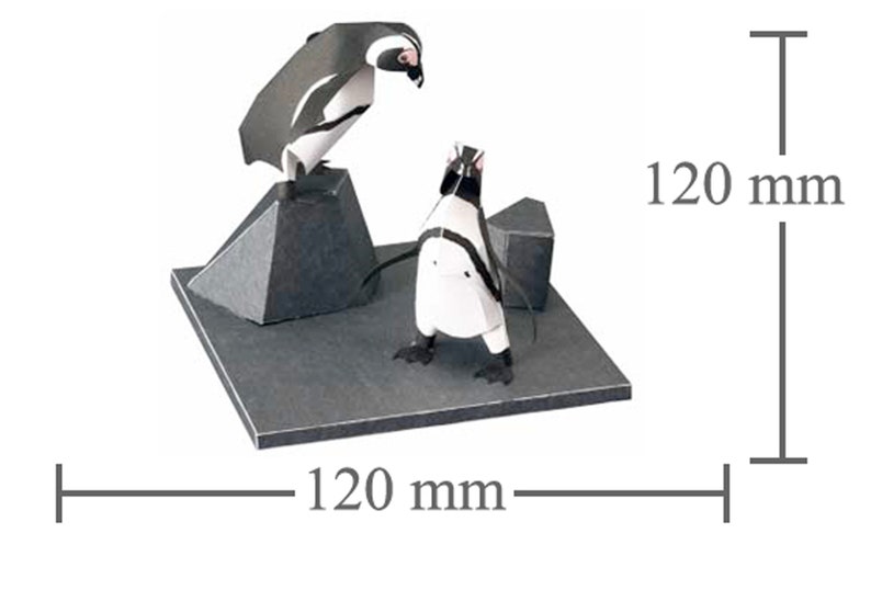 Cape Penguin Paper Model, DIY Papercraft (PDF Template) - Etsy