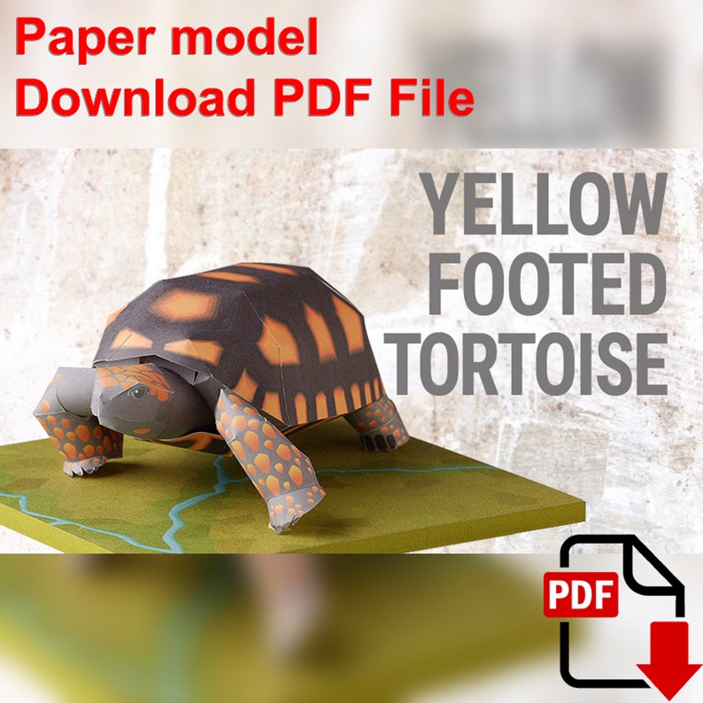 Yellow Footed Tortoise, Papercraft, 3D Paper Model, Animal, Zoo, Paper ...
