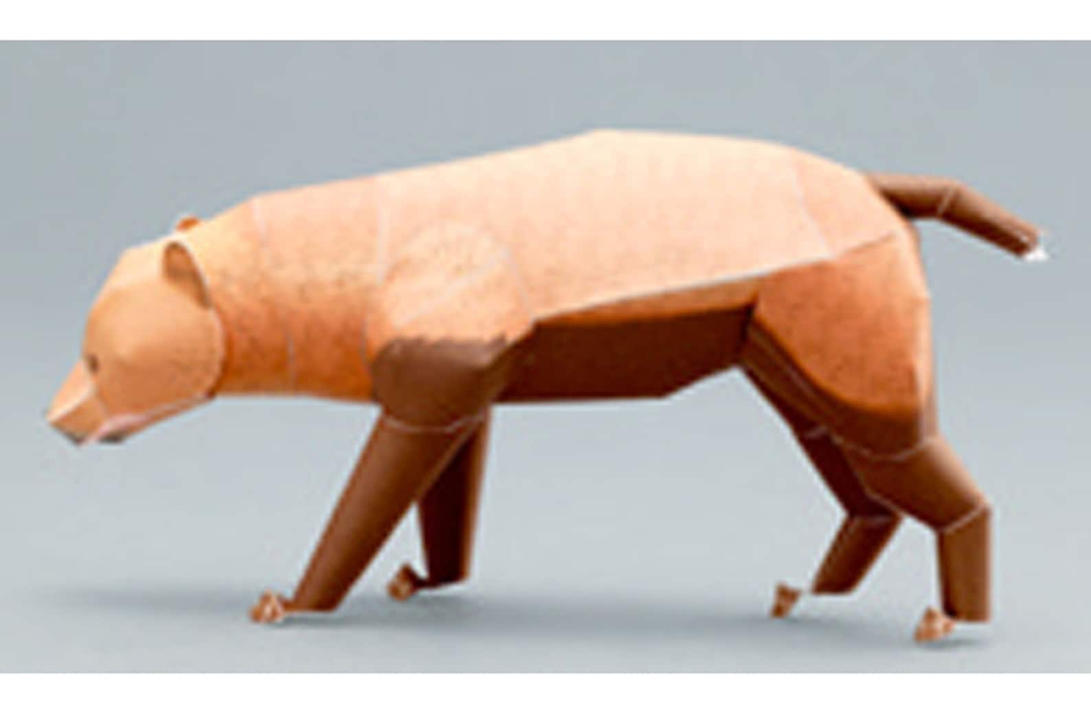 Bush Dog Papercraft 3D Paper Model Animal Zoo Paper - Etsy UK