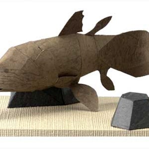Coelacanth, Papercraft, 3D Paper Model, Animal, Zoo, Paper Craft ...