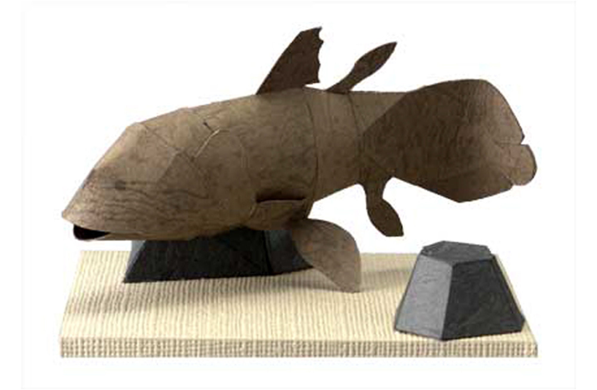Coelacanth, Papercraft, 3D Paper Model, Animal, Zoo, Paper Craft ...
