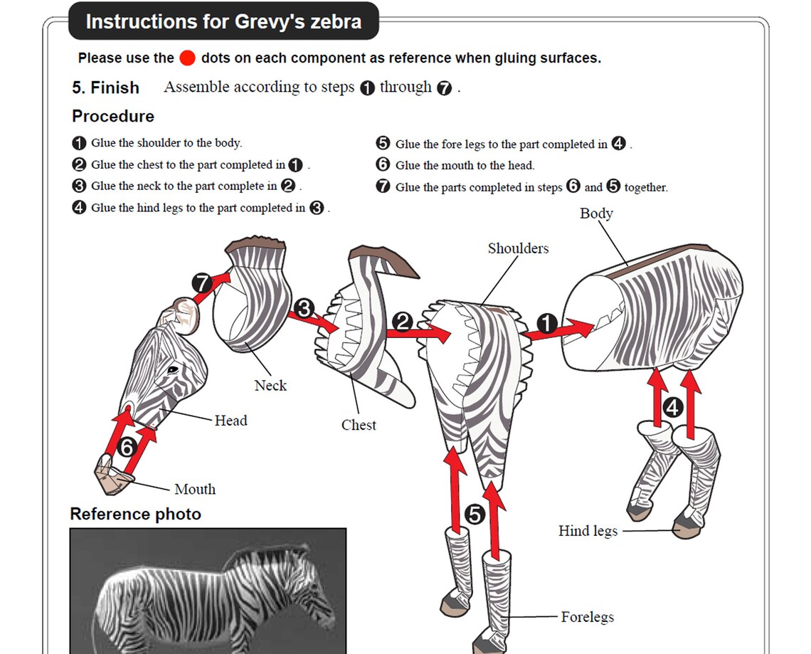 Grevy's Zebra, Papercraft, 3D Paper Model, Animal, Zoo, Paper Craft ...