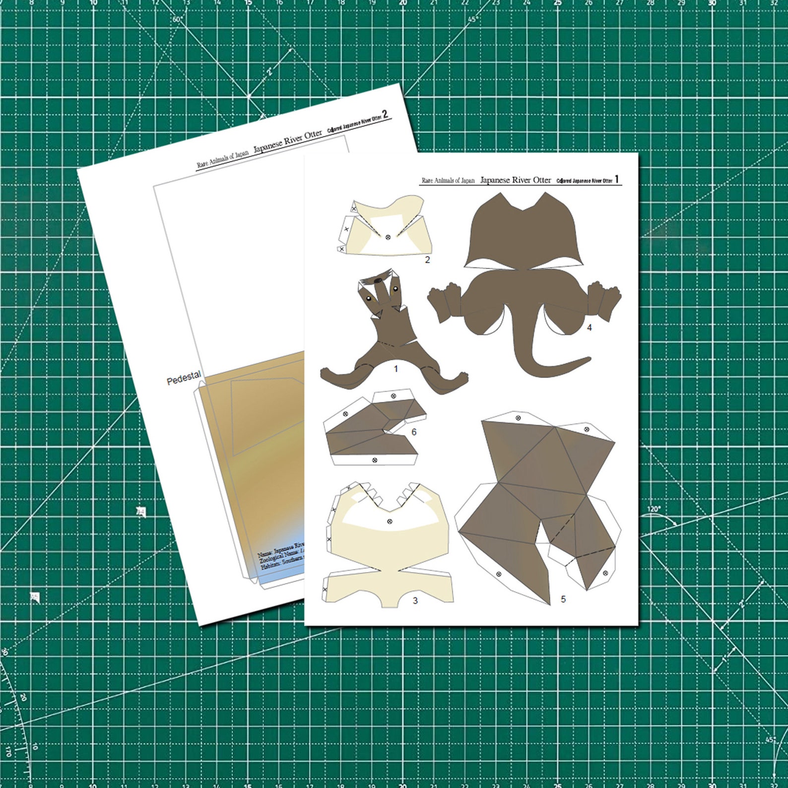 River Otter, Papercraft, 3D Paper Model, Animal, Zoo, Paper Craft ...