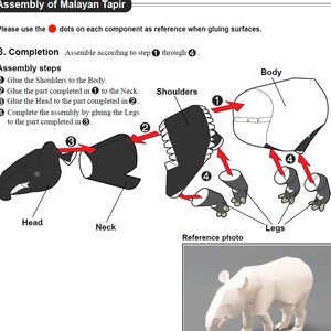 Malayan Tapir, Papercraft, 3D Paper Model, Animal, Zoo, Paper Craft ...