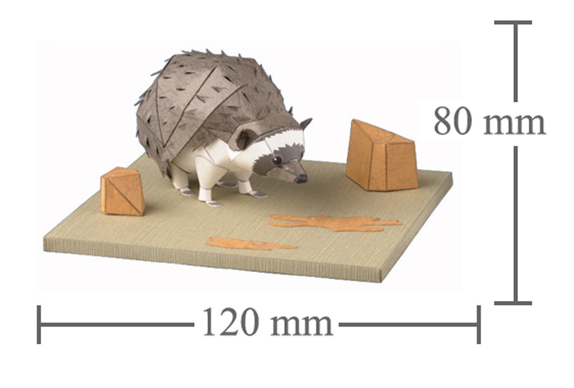 South African Hedgehog Papercraft 3D Paper Model Animal - Etsy
