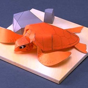 Loggerhead Turtle, Papercraft, 3D Paper Model, Animal, Zoo, Paper Craft ...