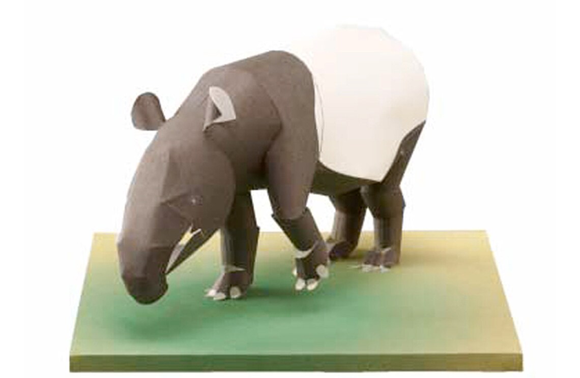 Malayan Tapir Papercraft 3D Paper Model Animal Zoo Paper - Etsy