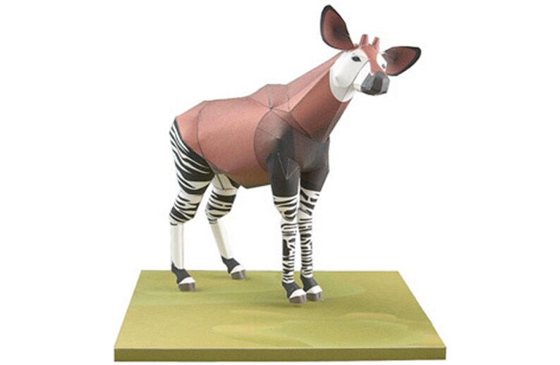 Okapi, Papercraft, 3D Paper Model, Animal, Zoo, Paper Craft, Template ...
