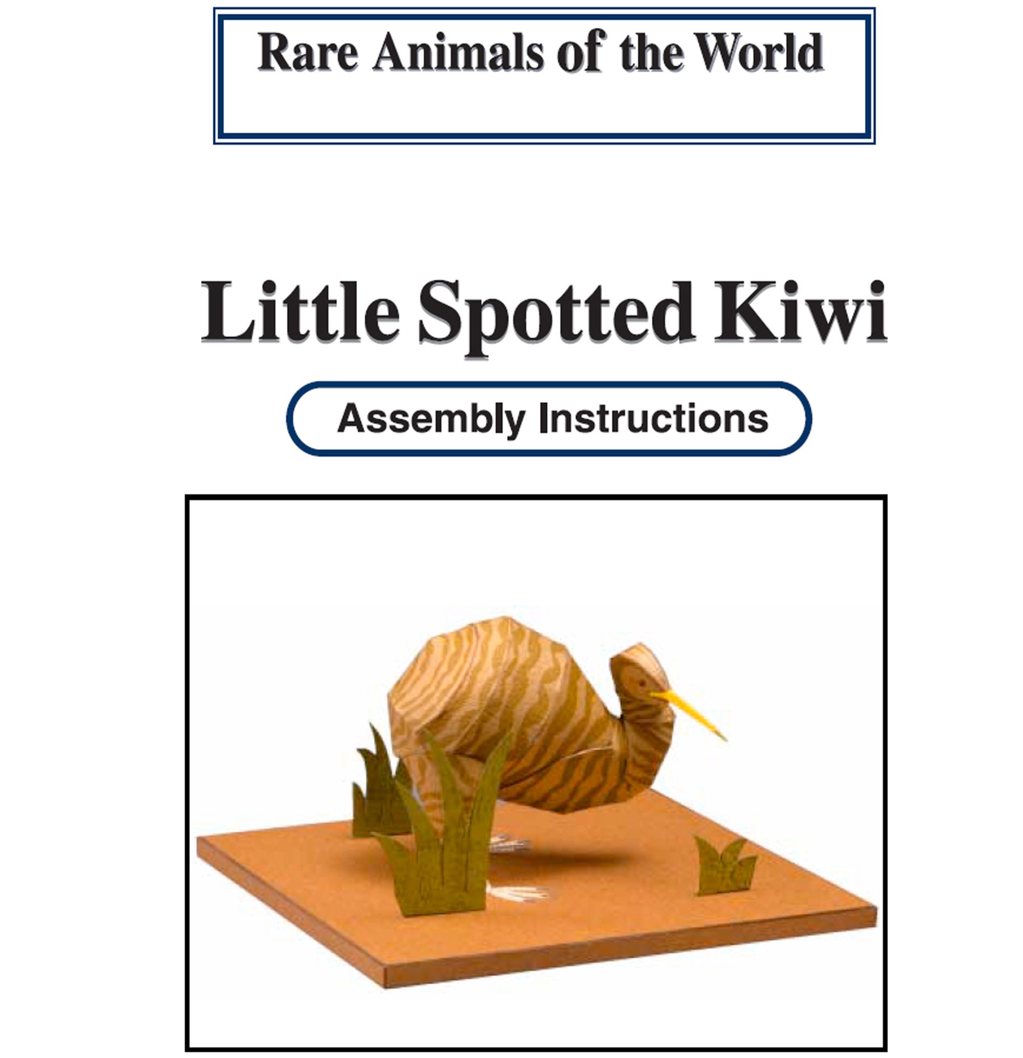 Little Spotted Kiwi, Papercraft, 3D Paper Model, Animal, Zoo, Paper ...