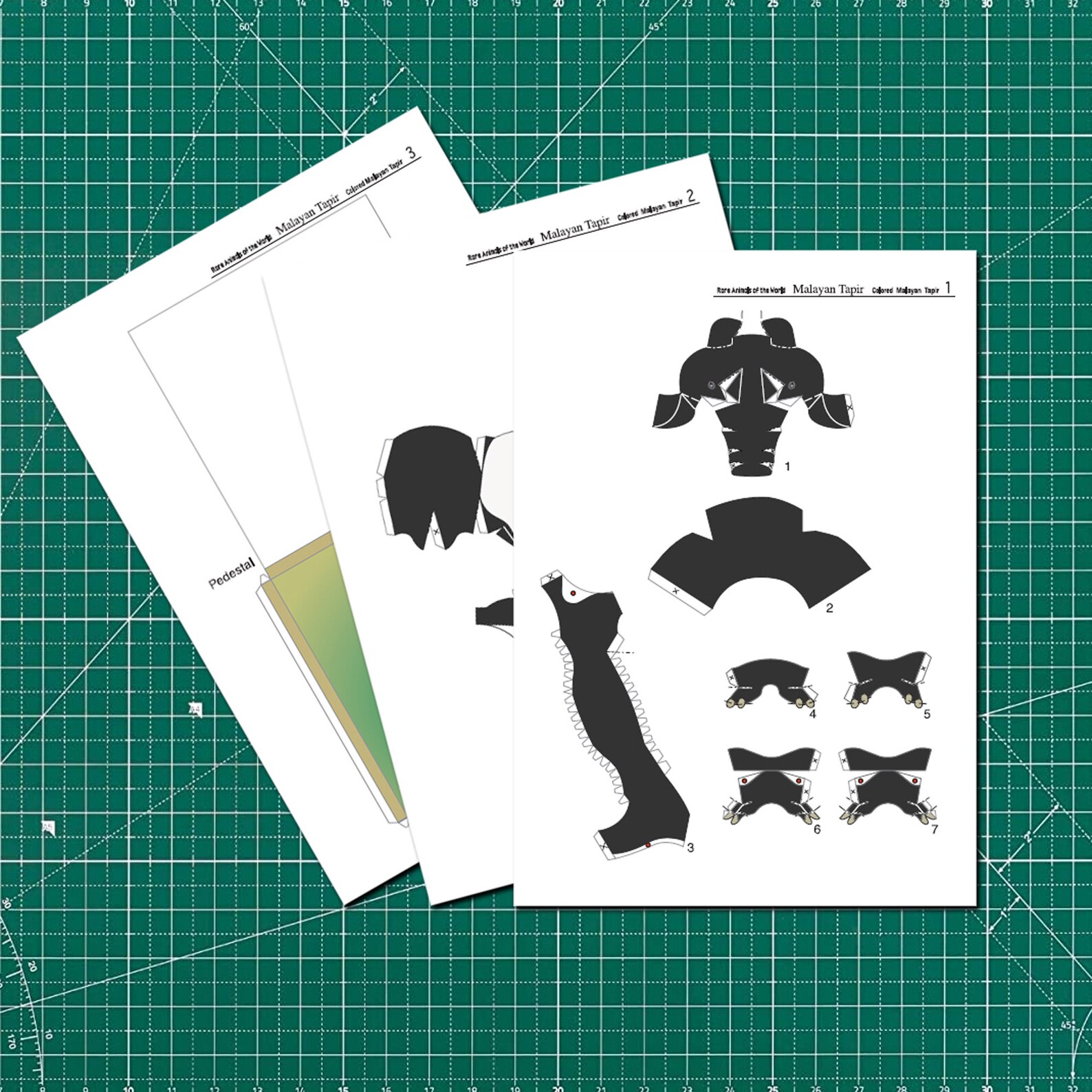 Malayan Tapir Papercraft 3D Paper Model Animal Zoo Paper - Etsy