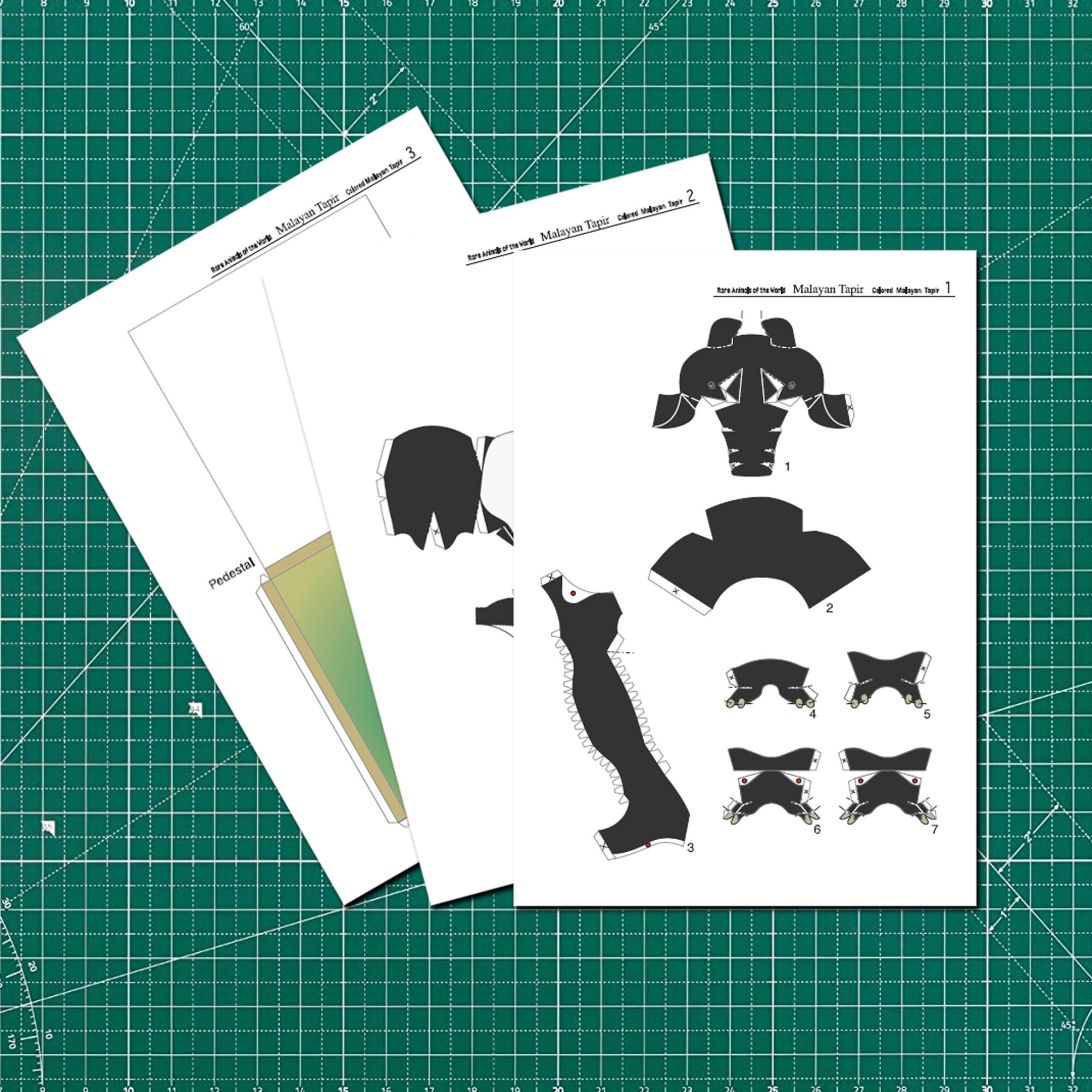 Malayan Tapir, Papercraft, 3D Paper Model, Animal, Zoo, Paper Craft ...