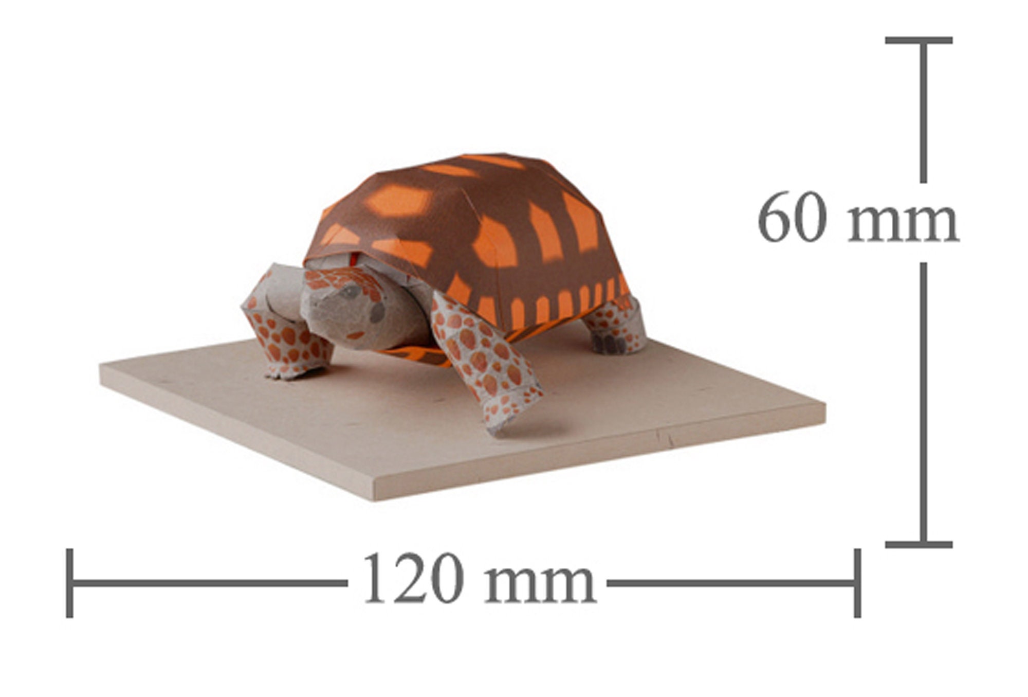 Yellow Footed Tortoise, Papercraft, 3D Paper Model, Animal, Zoo, Paper ...