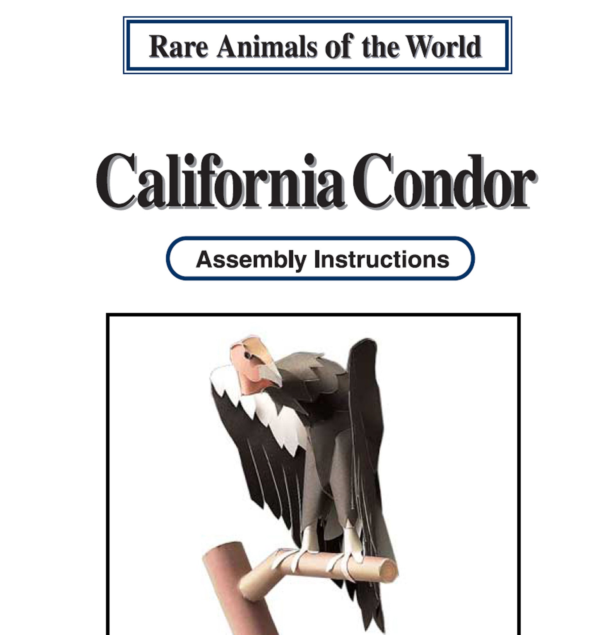 California Condor, Papercraft, 3D Paper Model, Animal, Zoo, Paper Craft ...