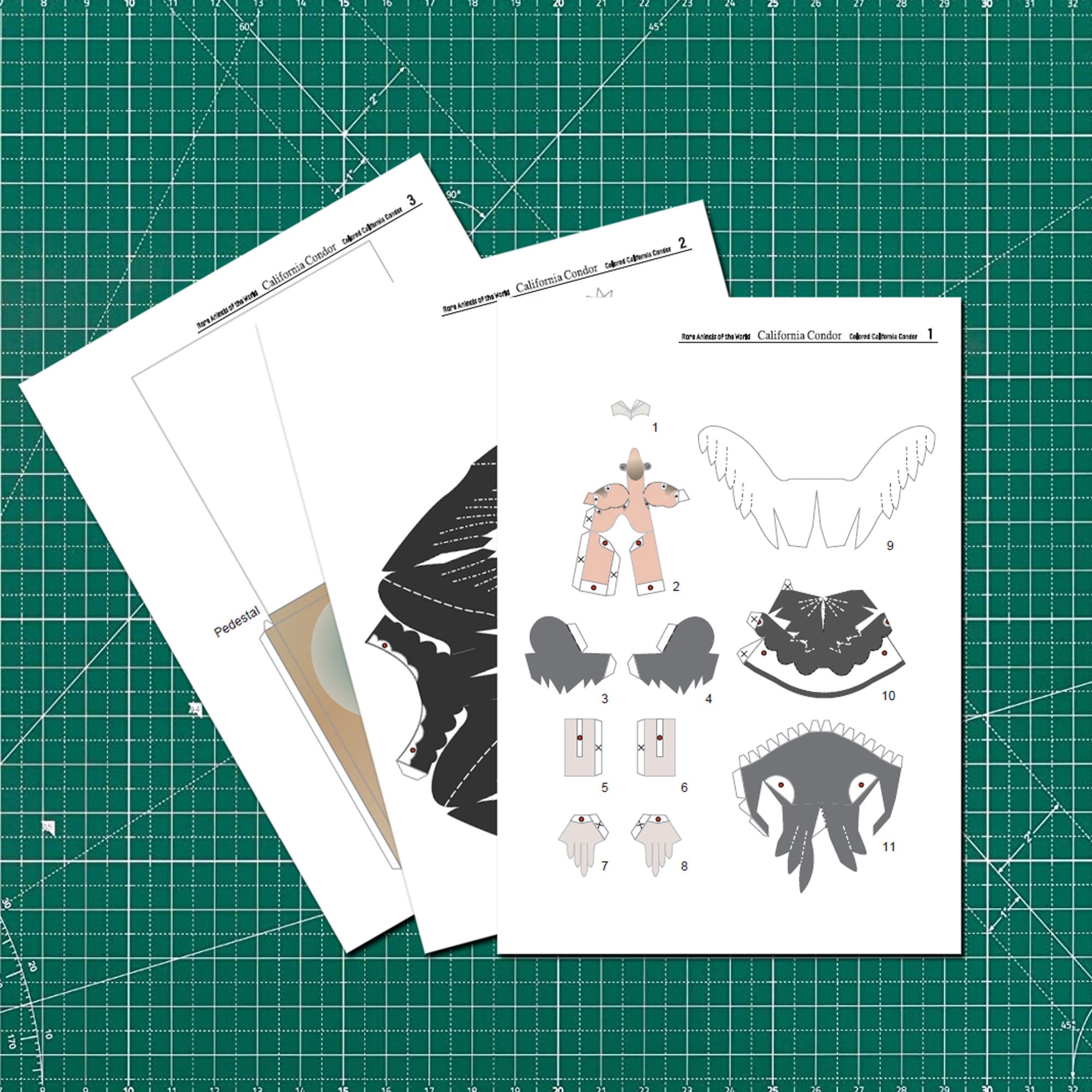 California Condor, Papercraft, 3D Paper Model, Animal, Zoo, Paper Craft ...