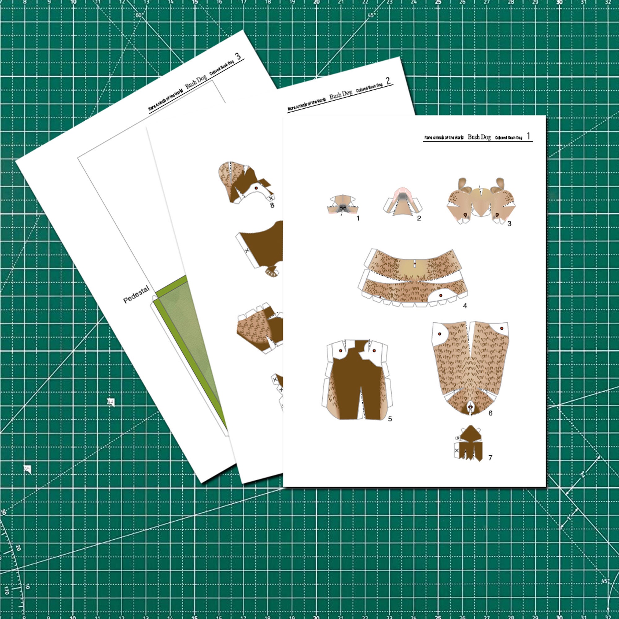 Bush Dog, Papercraft, 3D Paper Model, Animal, Zoo, Paper Craft ...