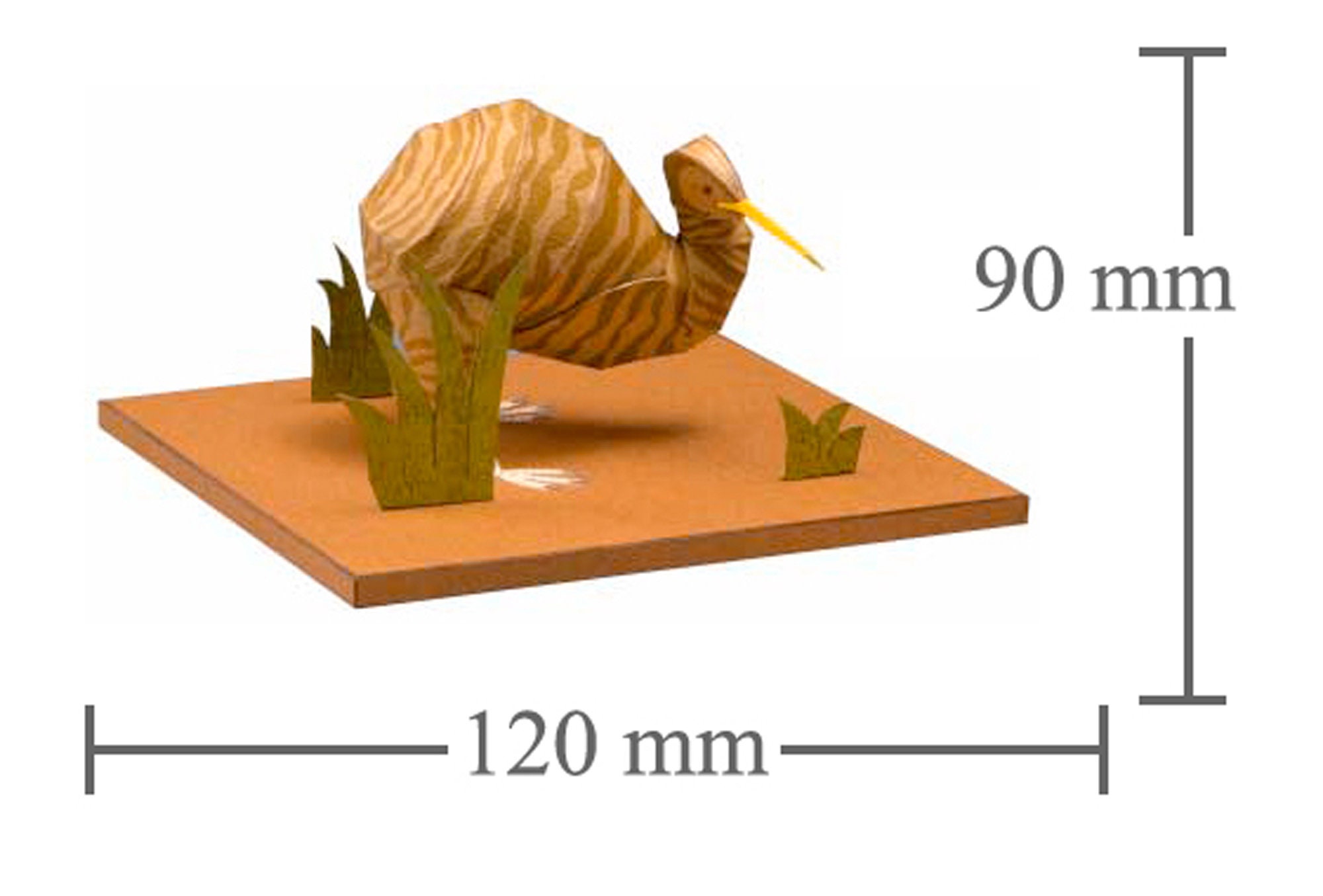 Little Spotted Kiwi, Papercraft, 3D Paper Model, Animal, Zoo, Paper ...
