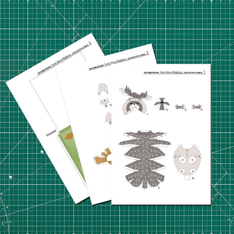 South African Hedgehog, Papercraft, 3D Paper Model, Animal, Zoo, Paper ...