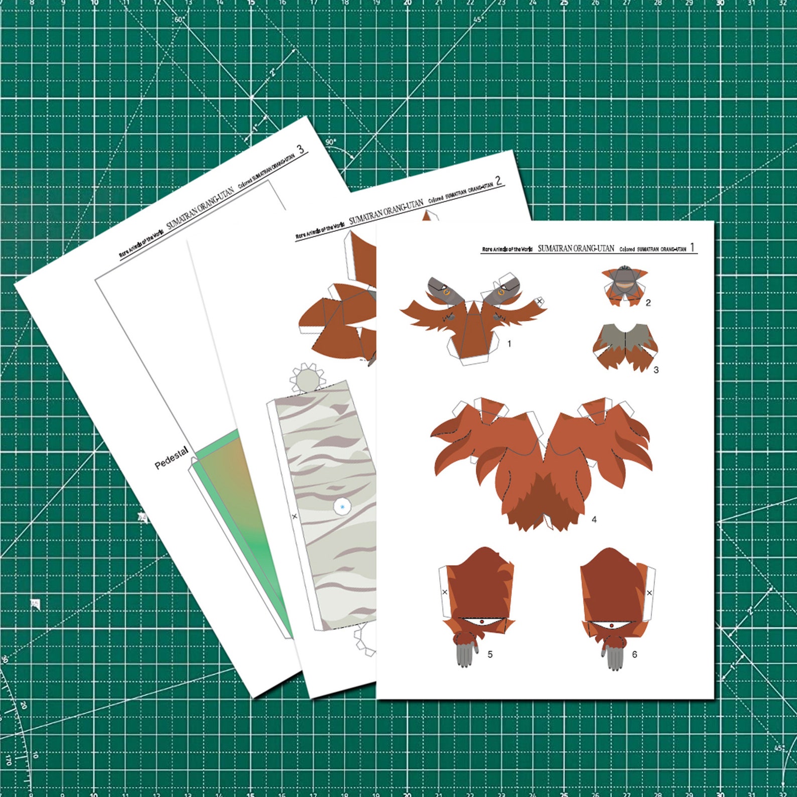 SUMATRAN ORANGUTAN, Papercraft, 3D Paper Model, Animal, Zoo, Paper ...